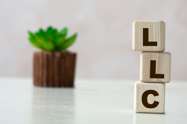 Starting a Dance Studio: How to Form an LLC - Steps, Pros, and Cons ...